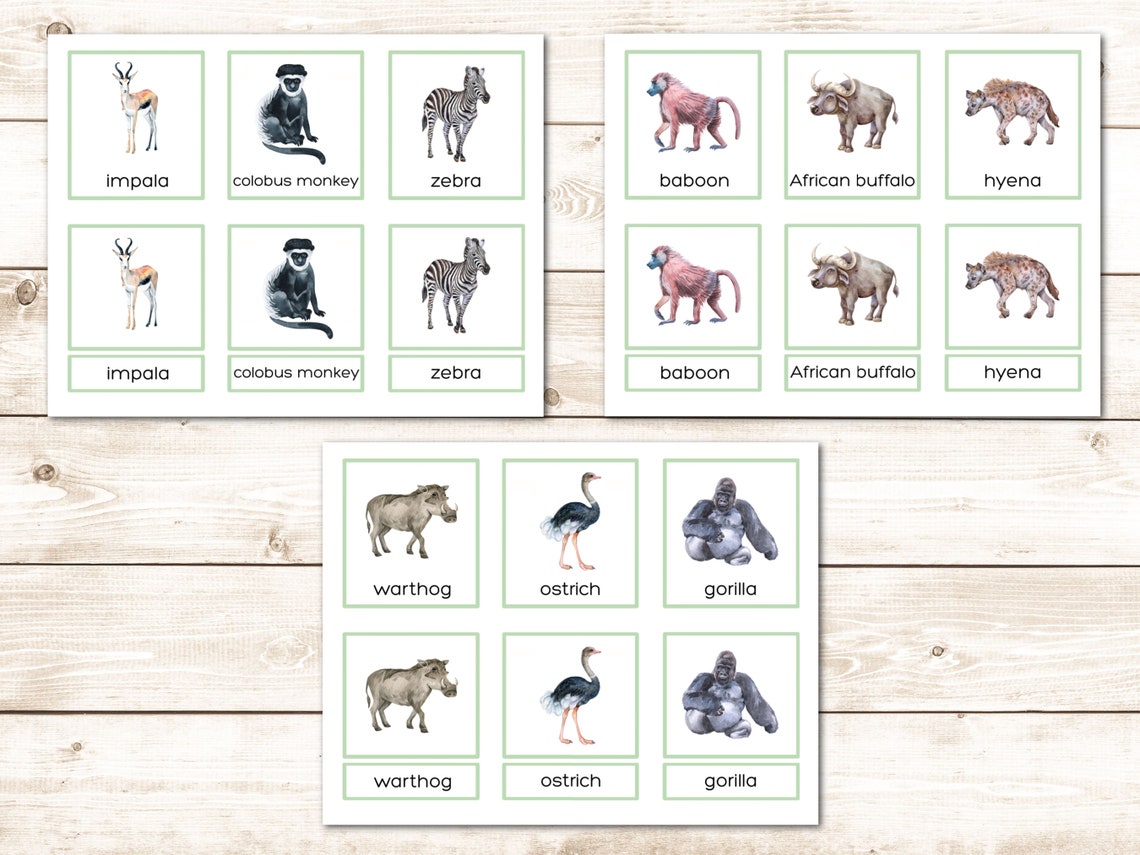 African Animals Montessori Printable Vocabulary 3 Part Cards Flash ...