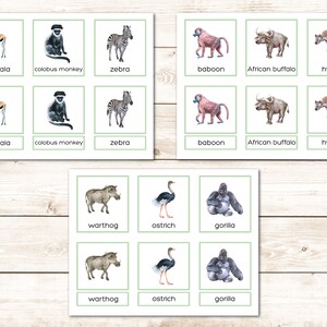 African Animals Montessori Printable Vocabulary 3 Part Cards Flash ...