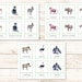 African Animals Montessori Printable Vocabulary 3 Part Cards Flash ...