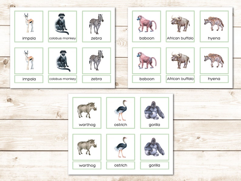 African Animals Montessori Printable Vocabulary 3 Part Cards Flash ...