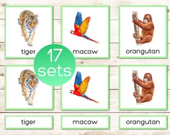 Rainforest Animals Matching Cards Digital Download - Etsy