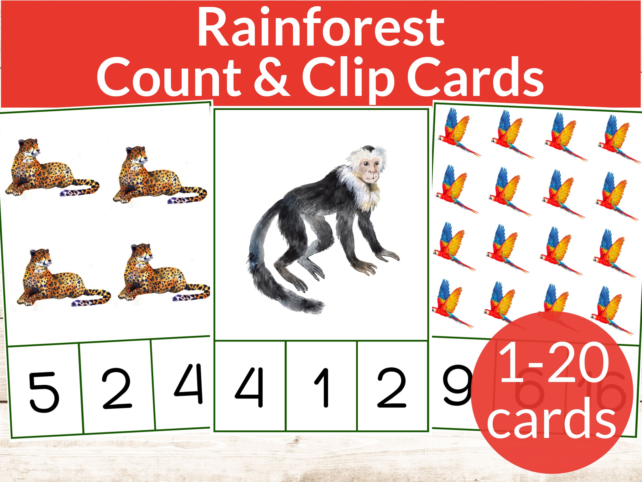 Rainforest Montessori Count & Clip Cards. Preschool and Kindergarten ...