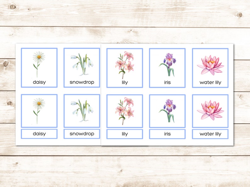 Flowers Montessori Printable Vocabulary 3 Part Cards. Nomenclature ...