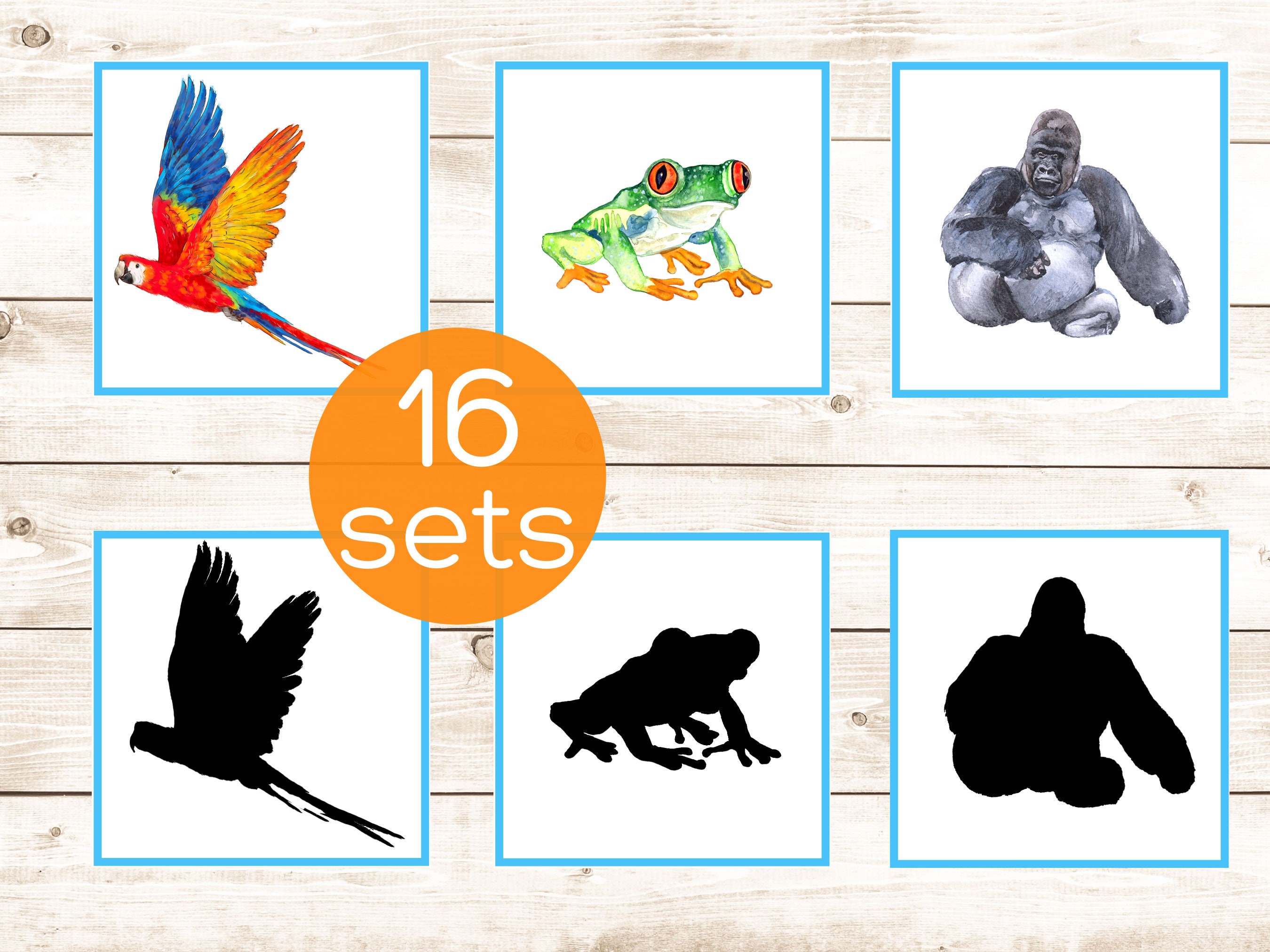 Rainforest Montessori Shadow Matching Cards. Toddler Animal Activity ...