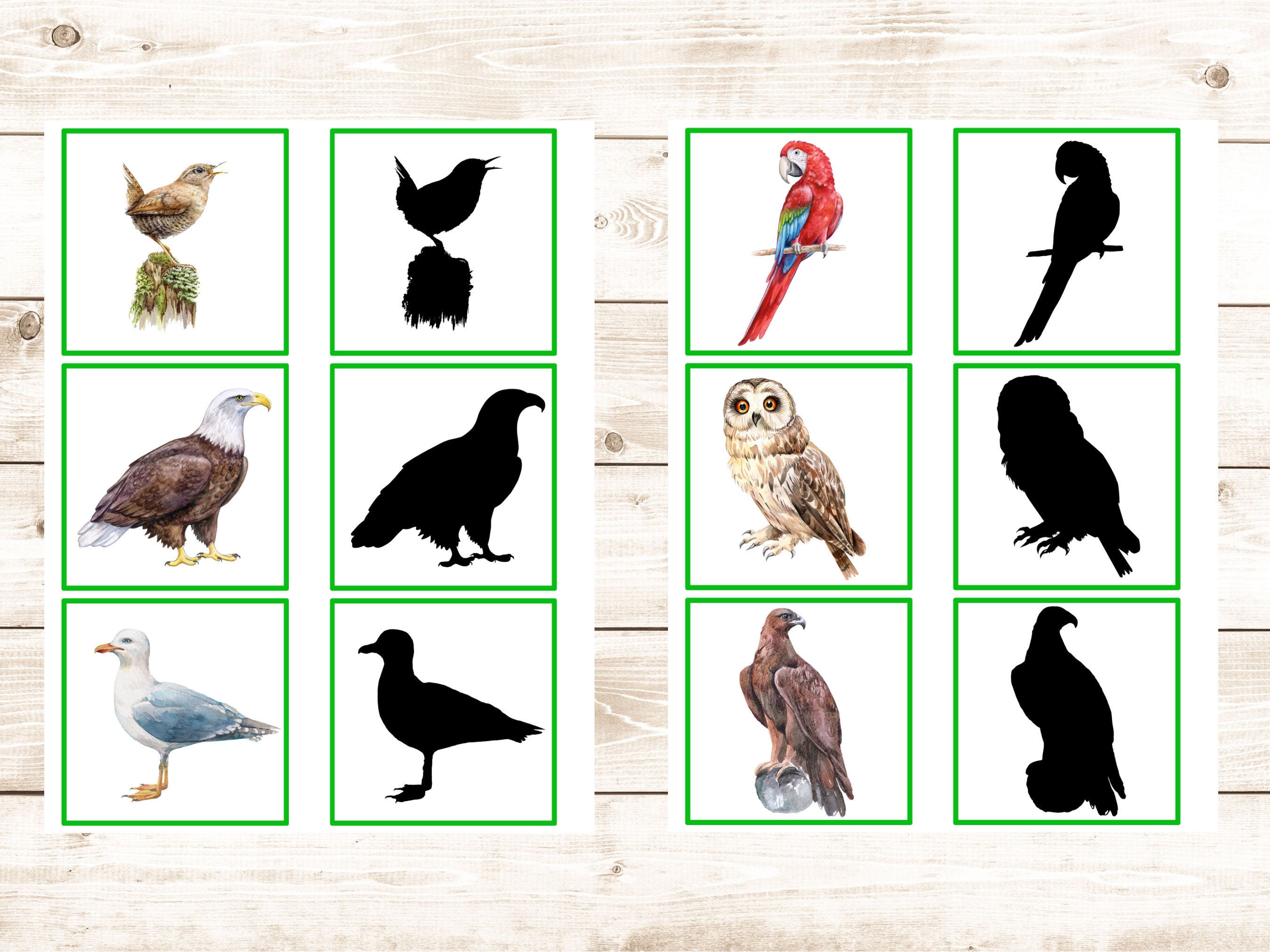 Birds Shadow Matching Cards. Montessori Toddler Printable. Preschool ...