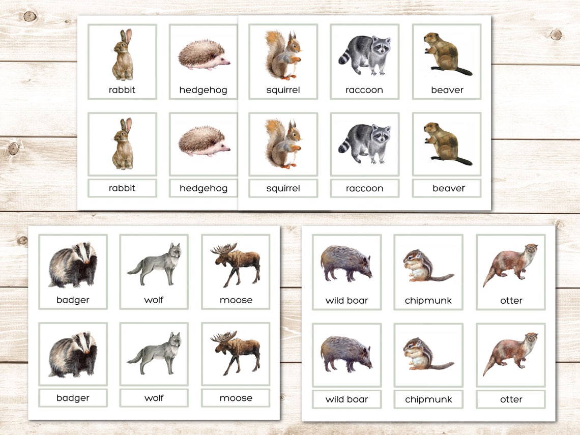 Woodland Animals Montessori Printable Vocabulary 3 Part Cards ...