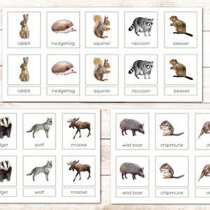 Woodland Animals Montessori Printable Vocabulary 3 Part Cards ...
