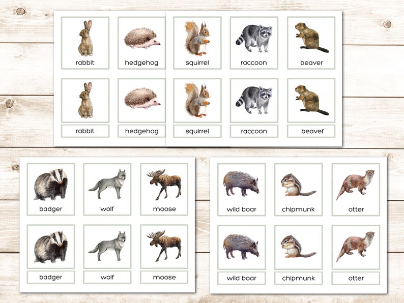 Woodland Animals Montessori Printable Vocabulary 3 Part Cards ...