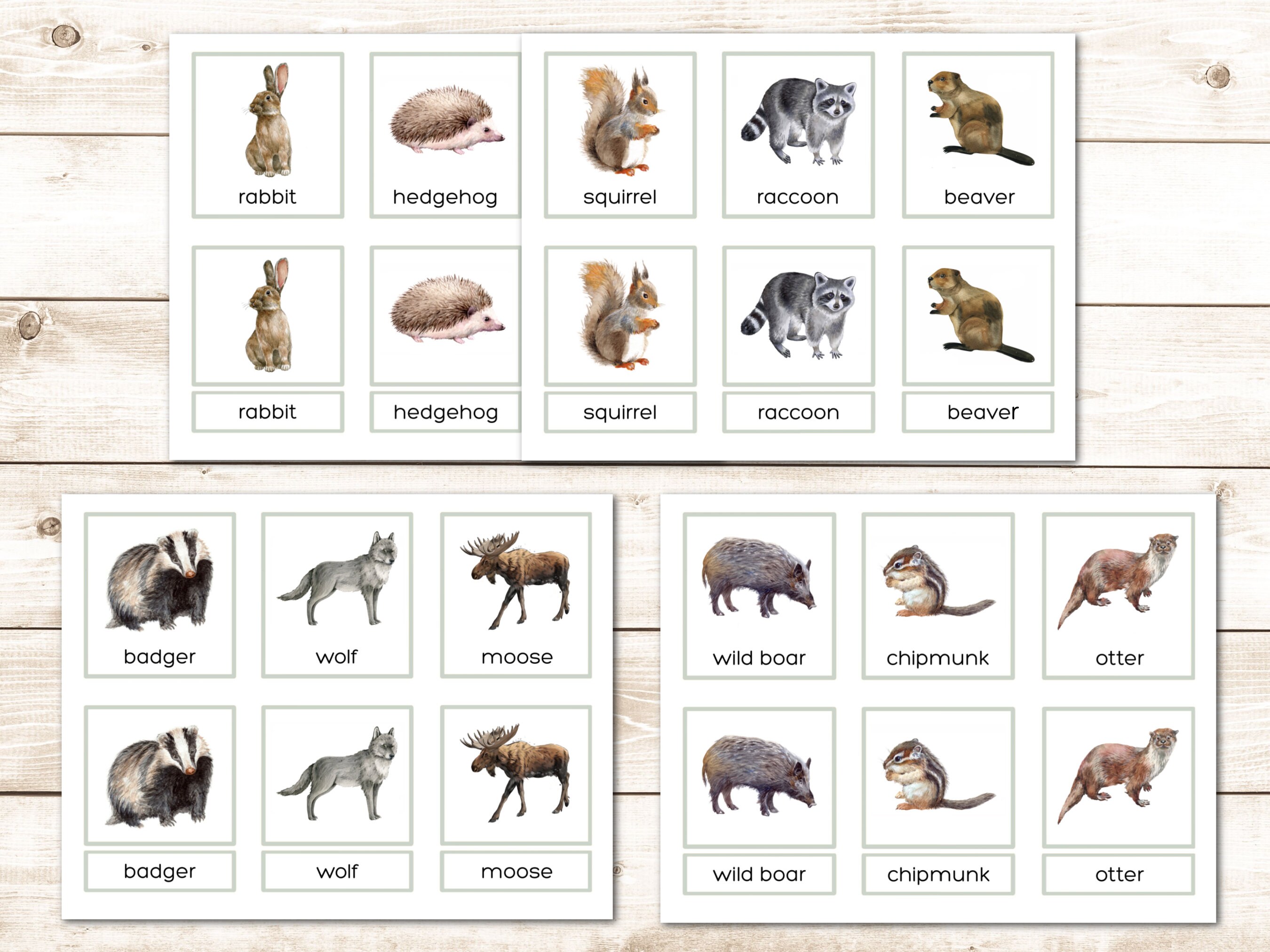 Woodland Animals Montessori Printable Vocabulary 3 Part Cards ...