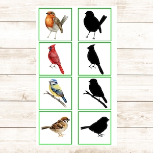 Birds Shadow Matching Cards. Montessori Toddler Printable. Preschool ...
