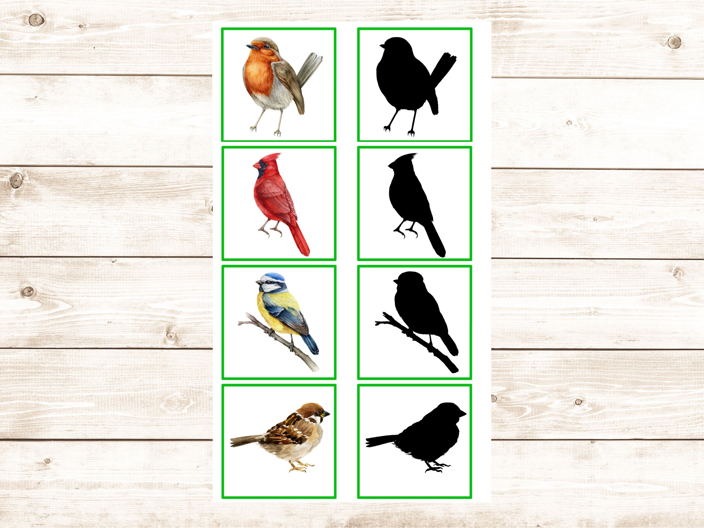 Birds Shadow Matching Cards. Montessori Toddler Printable. Preschool ...