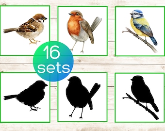 Africa Animals Montessori Shadow Cards Printable. Toddler Shadow ...