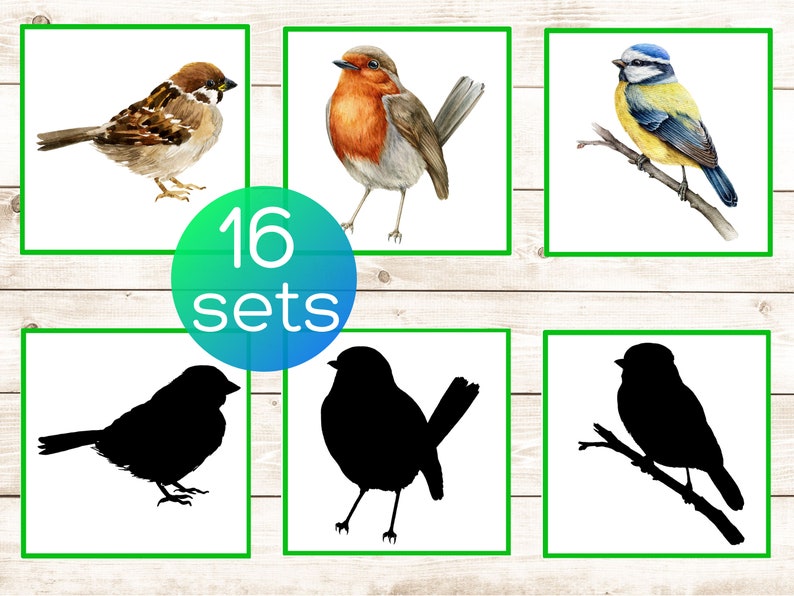 Birds Shadow Matching Cards. Montessori Toddler Printable. Preschool ...