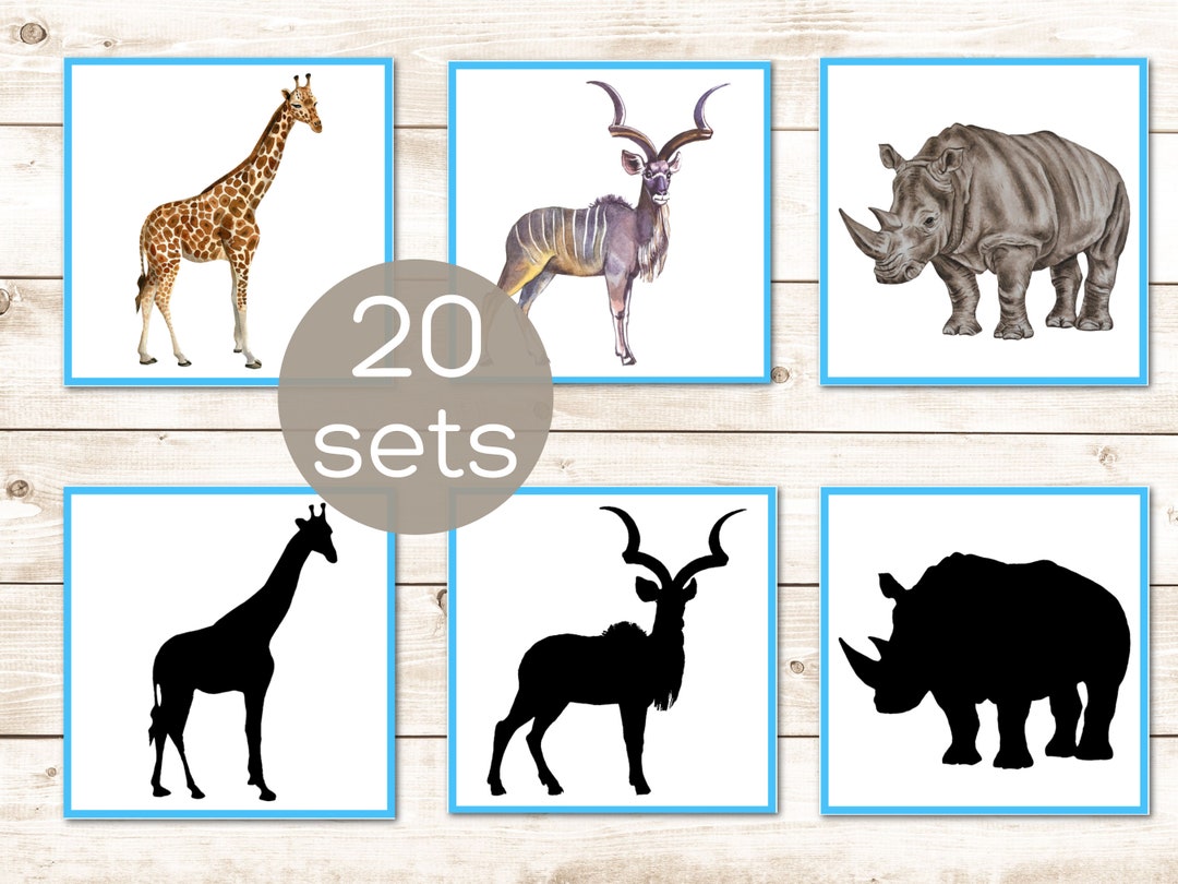 Africa Animals Montessori Shadow Cards Printable. Toddler Shadow ...