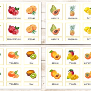 Fruit Montessori Printable Vocabulary 3 Part Cards. Nomenclature Cards ...