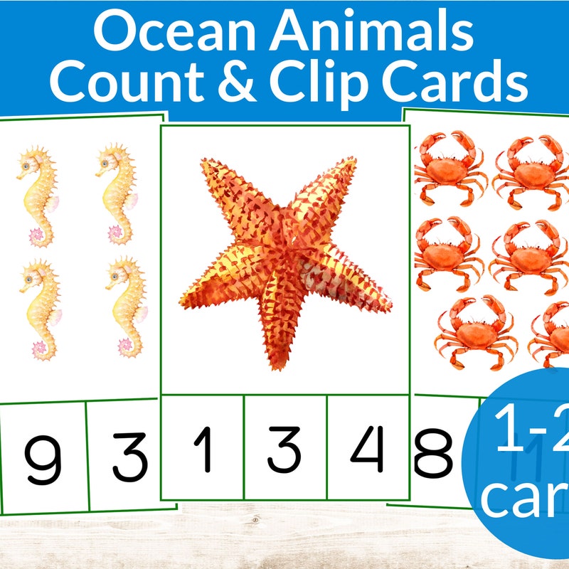 Count and Clip Cards - Etsy