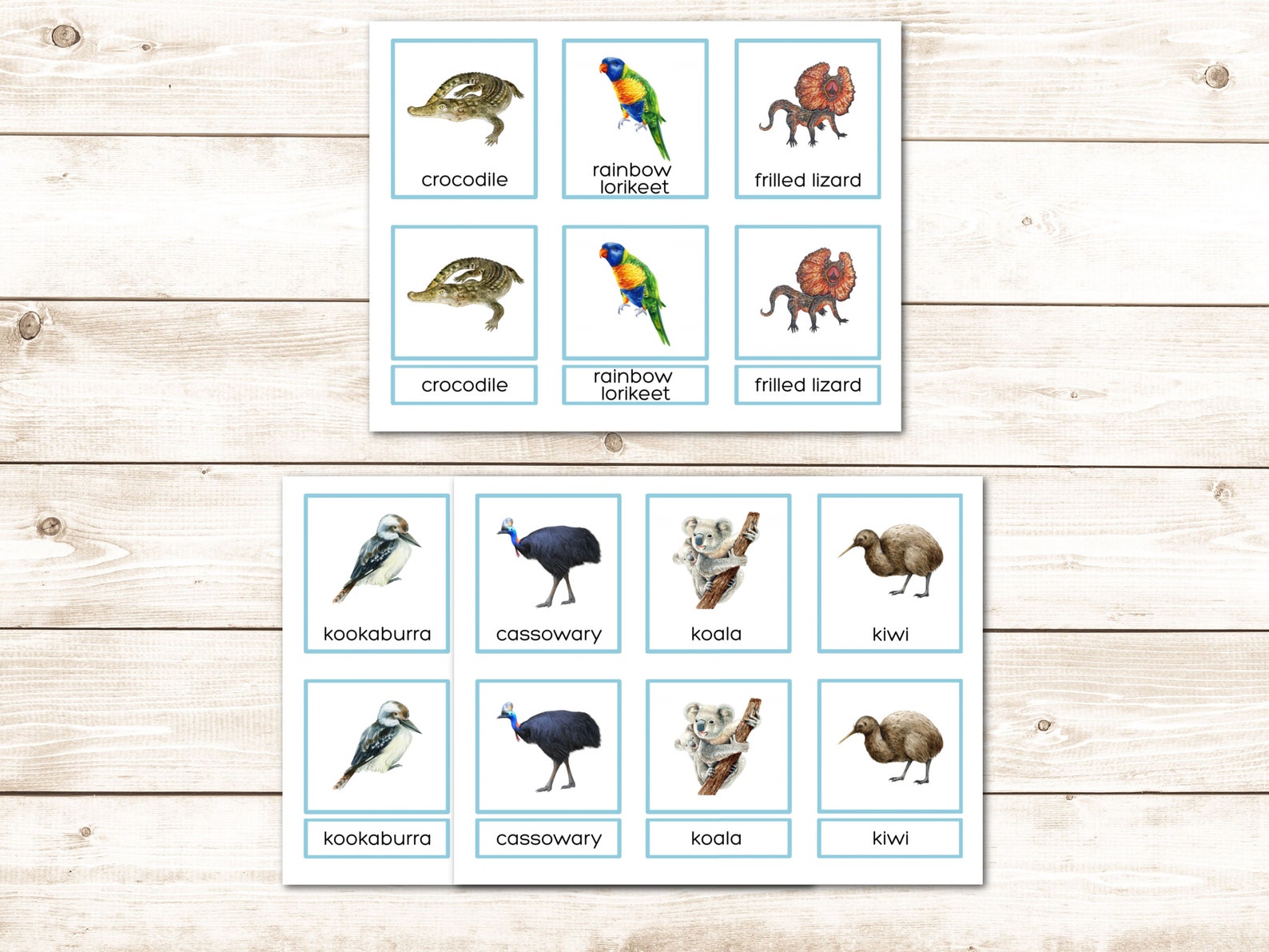 Australia Oceania Animals Montessori Printable Vocabulary 3 Part Cards ...