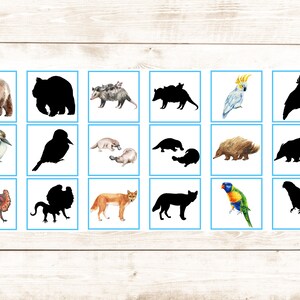 Australia Animals Shadow Matching Cards. Montessori Toddler Printable ...