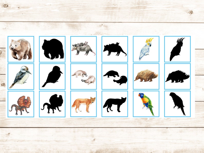 Australia Animals Shadow Matching Cards. Montessori Toddler Printable ...
