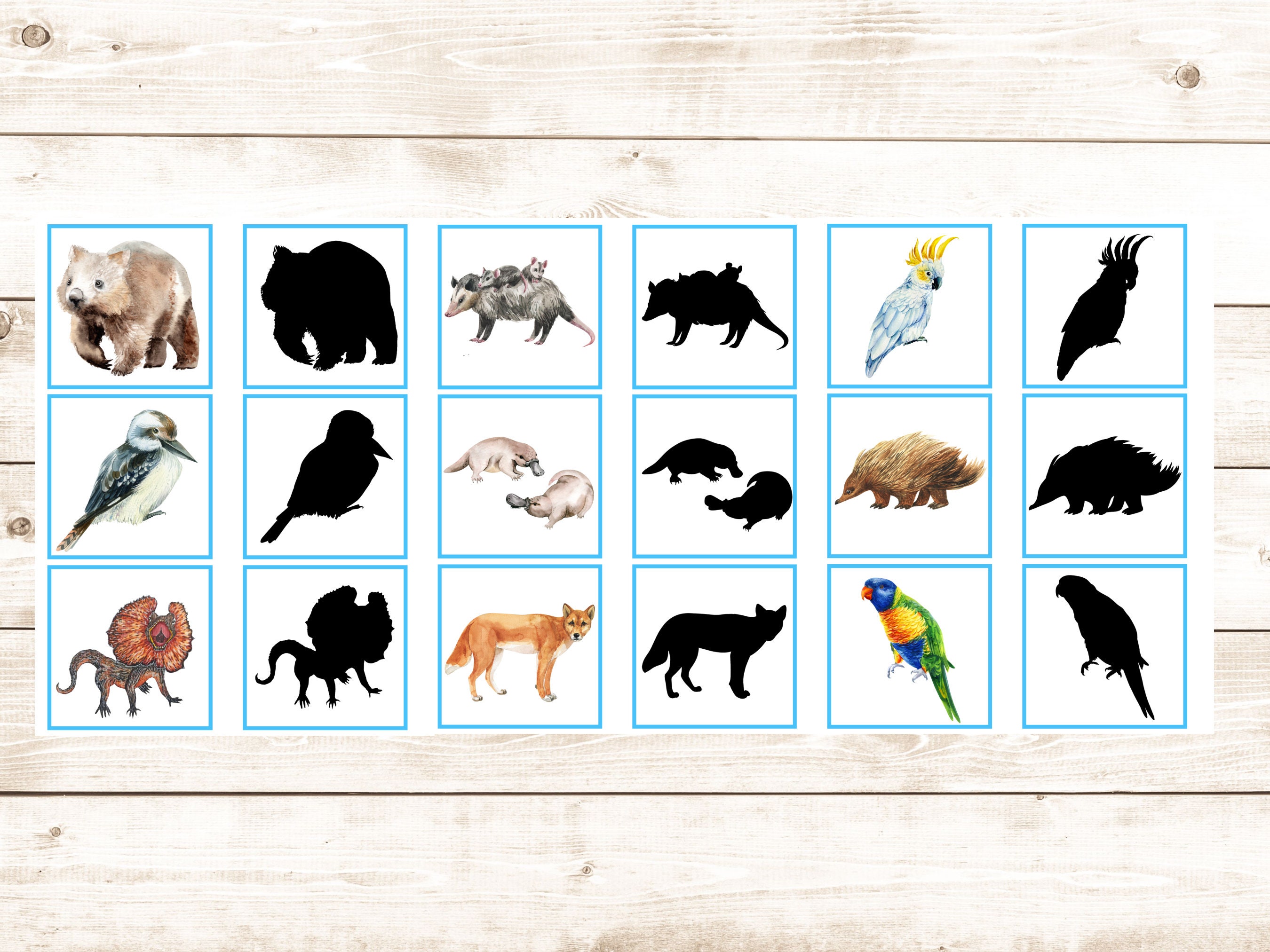 Australia Animals Shadow Matching Cards. Montessori Toddler Printable ...