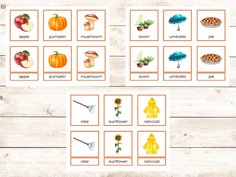 Fall Montessori Printable Vocabulary 3 Part Cards. Nomenclature Cards ...