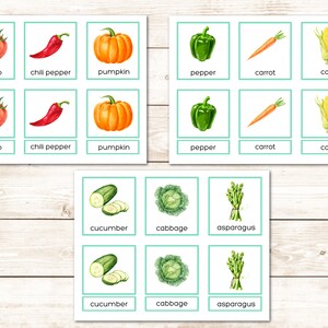 Vegetables Montessori Printable Vocabulary 3 Part Cards. Nomenclature ...