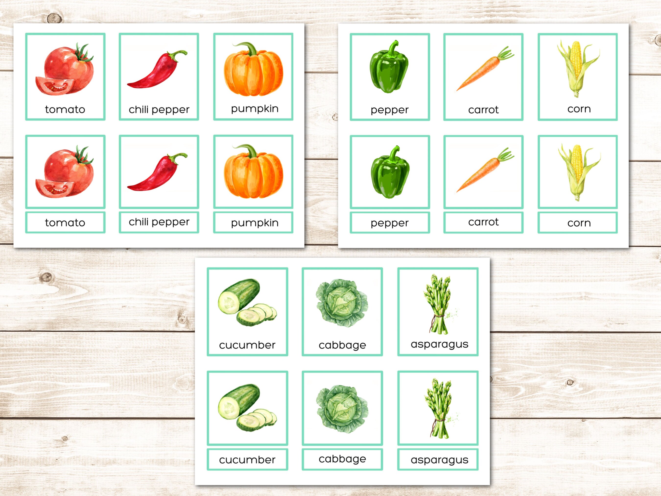 Vegetables Montessori Printable Vocabulary 3 Part Cards. Nomenclature ...