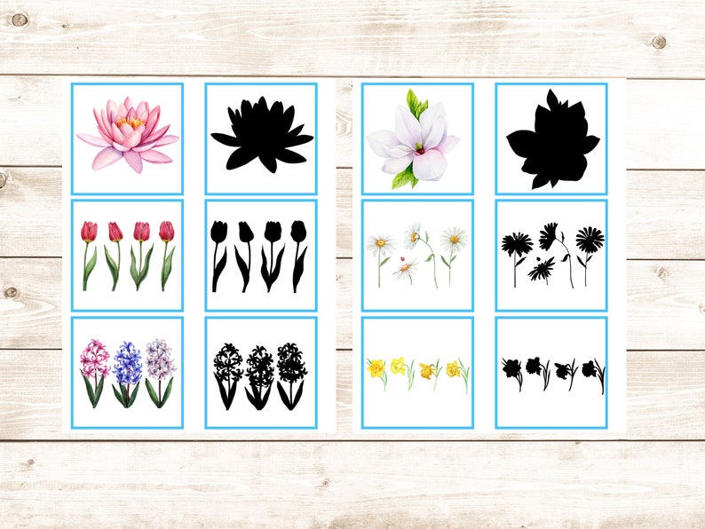 Flowers Shadow Matching Cards. Montessori Toddler Printable. Preschool ...