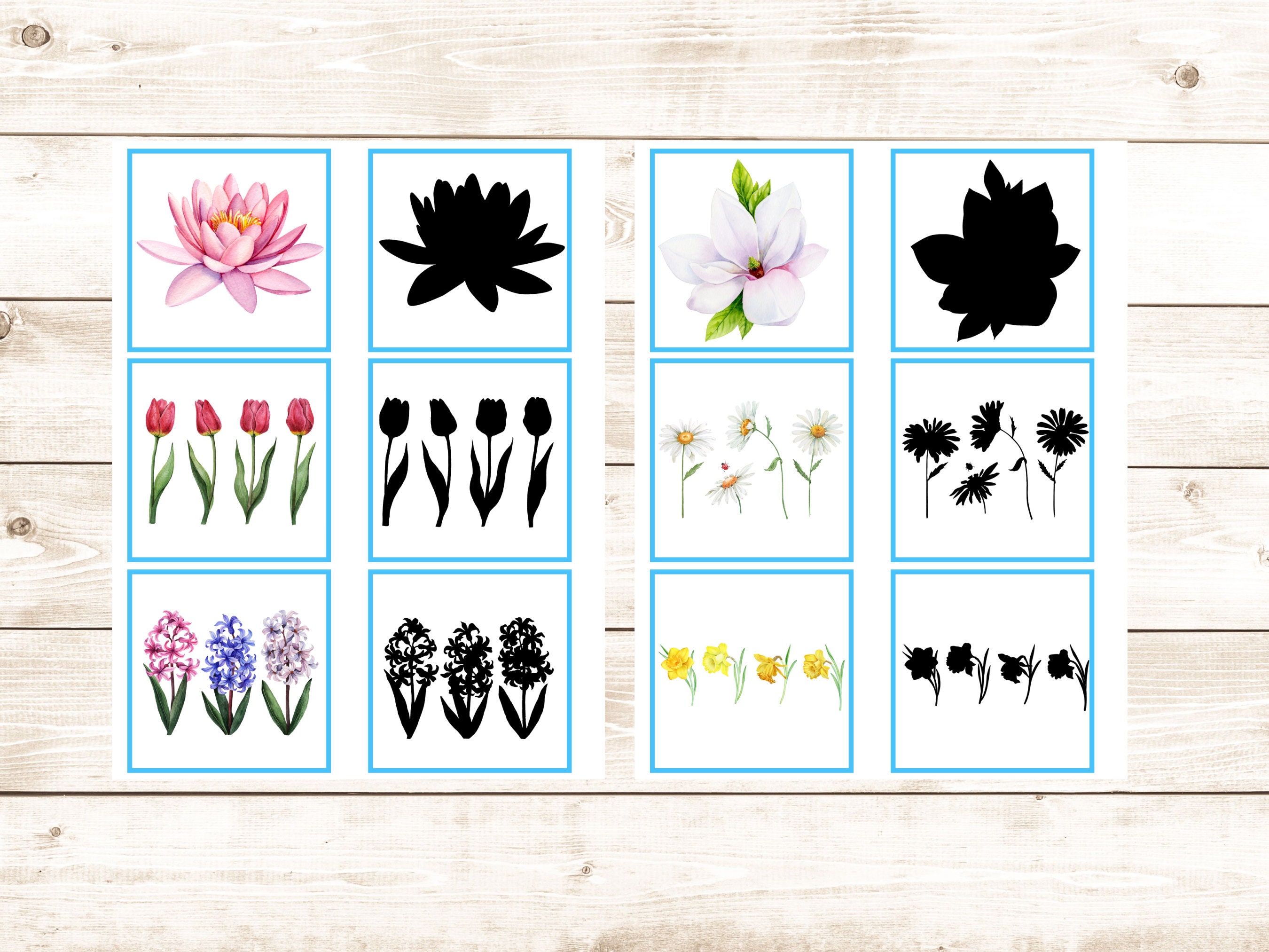 Flowers Shadow Matching Cards. Montessori Toddler Printable. Preschool ...