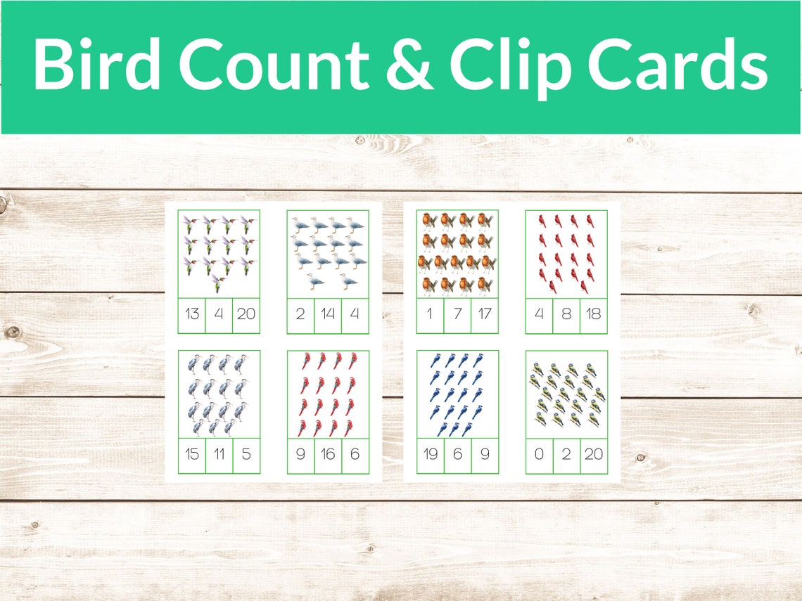 Bird Montessori Count & Clip Cards. Preschool and Kindergarten Math ...