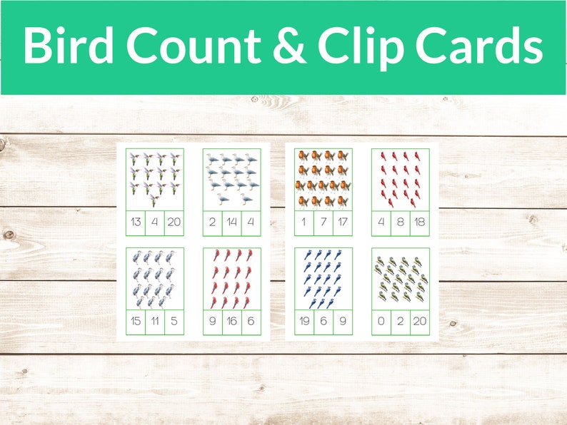Bird Montessori Count & Clip Cards. Preschool and Kindergarten Math ...