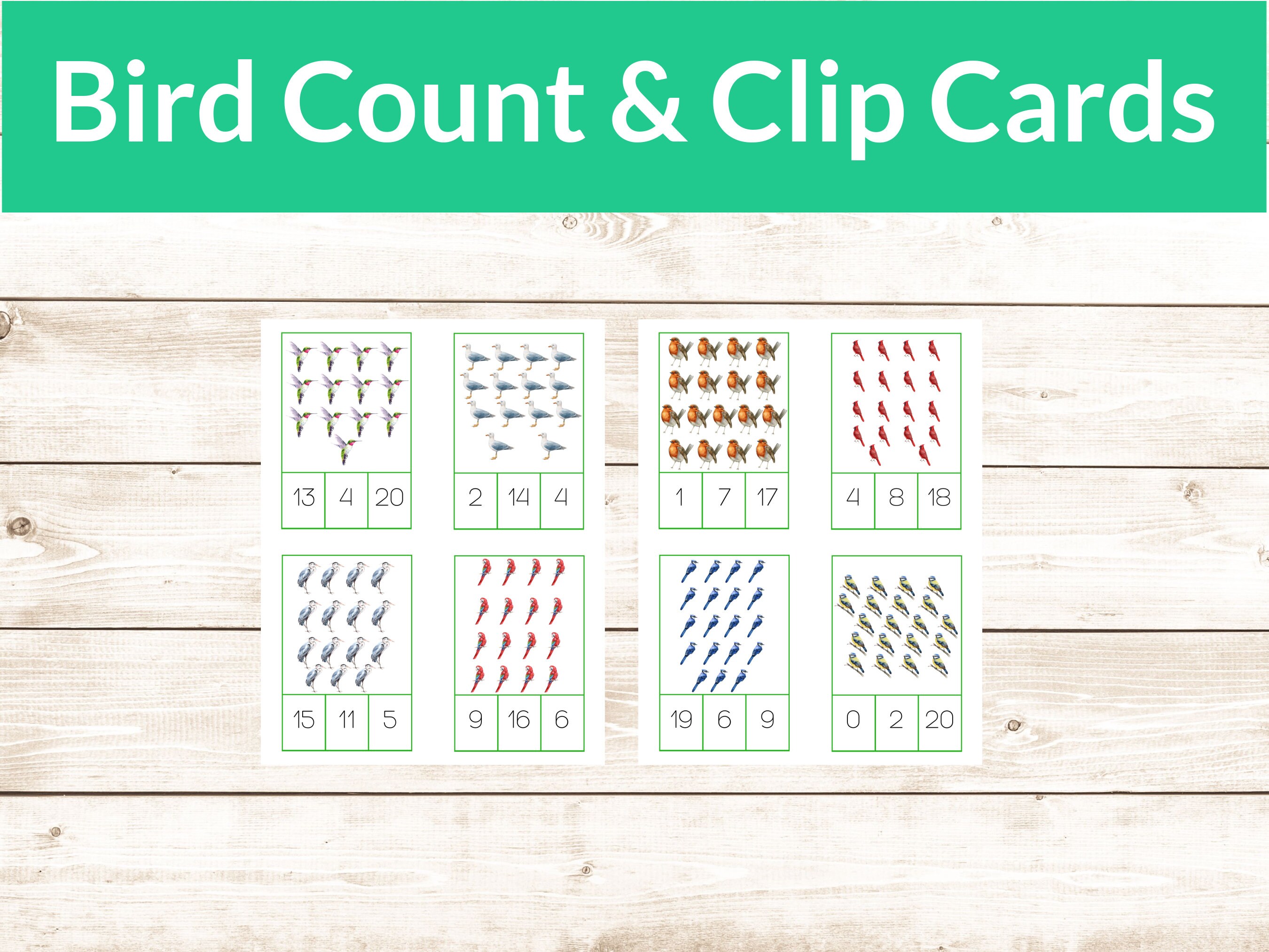 Bird Montessori Count & Clip Cards. Preschool and Kindergarten Math ...