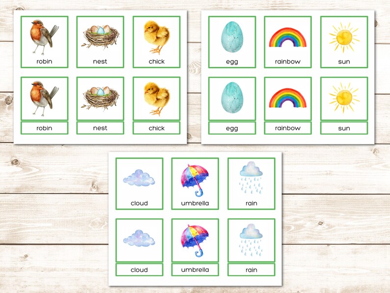 Spring Montessori Printable Vocabulary 3 Part Cards. Nomenclature Cards ...