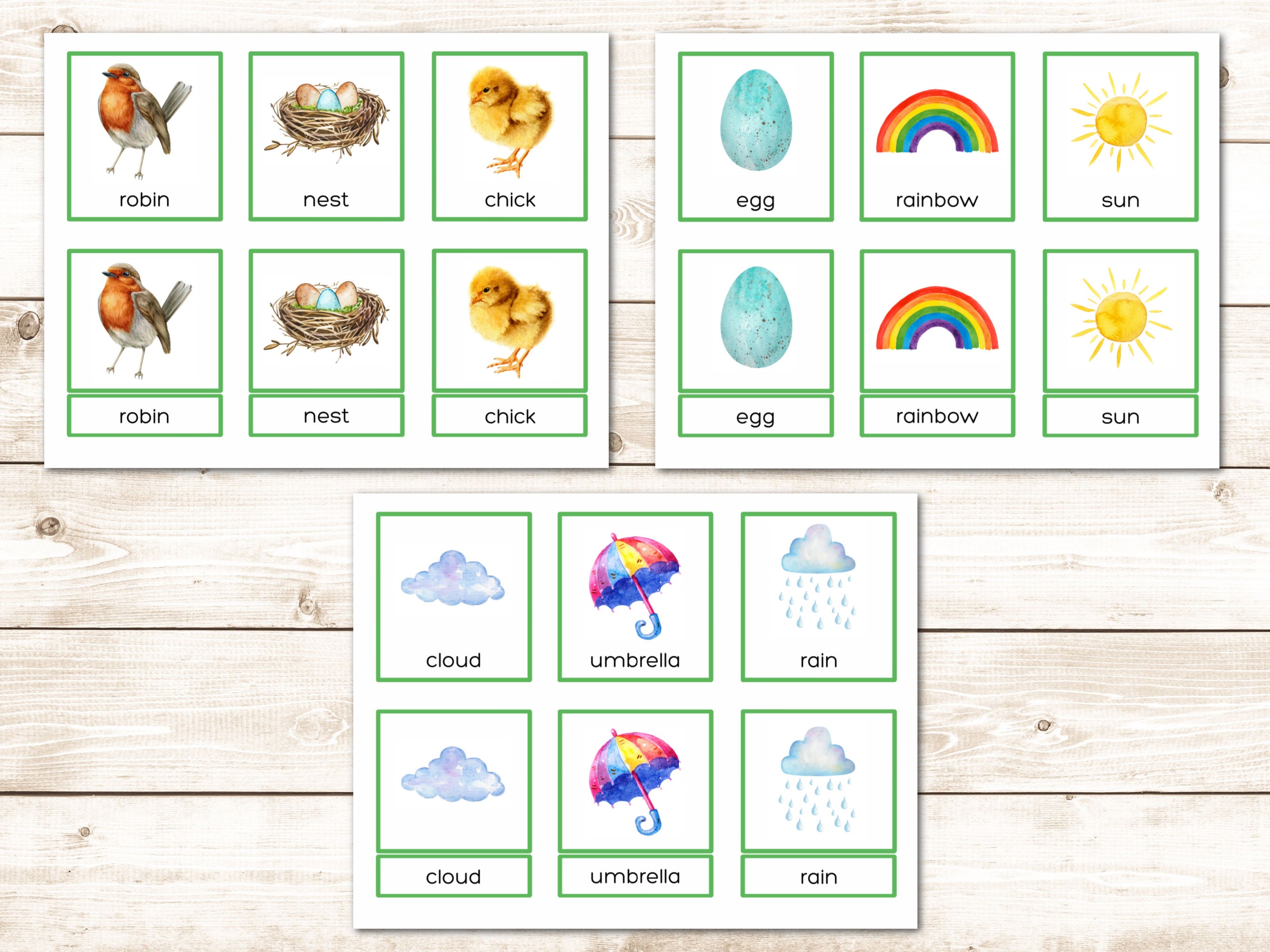 Spring Montessori Printable Vocabulary 3 Part Cards. Nomenclature Cards ...