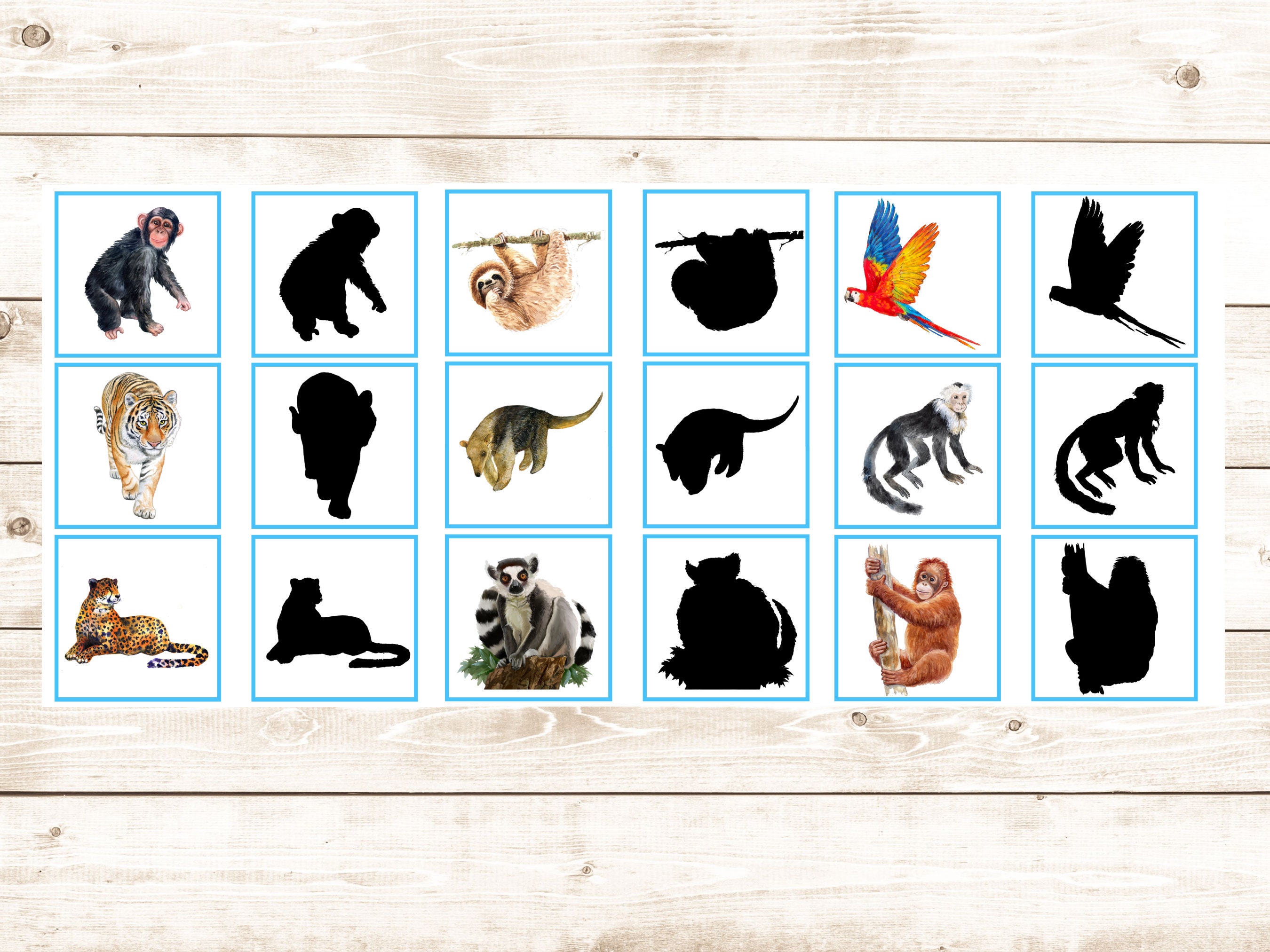 Rainforest Montessori Shadow Matching Cards. Toddler Animal Activity ...