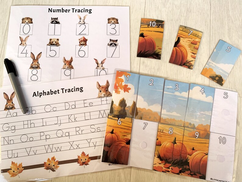 Fall Preschool Busy Book Printable. Autumn Preschool Learning Binder ...