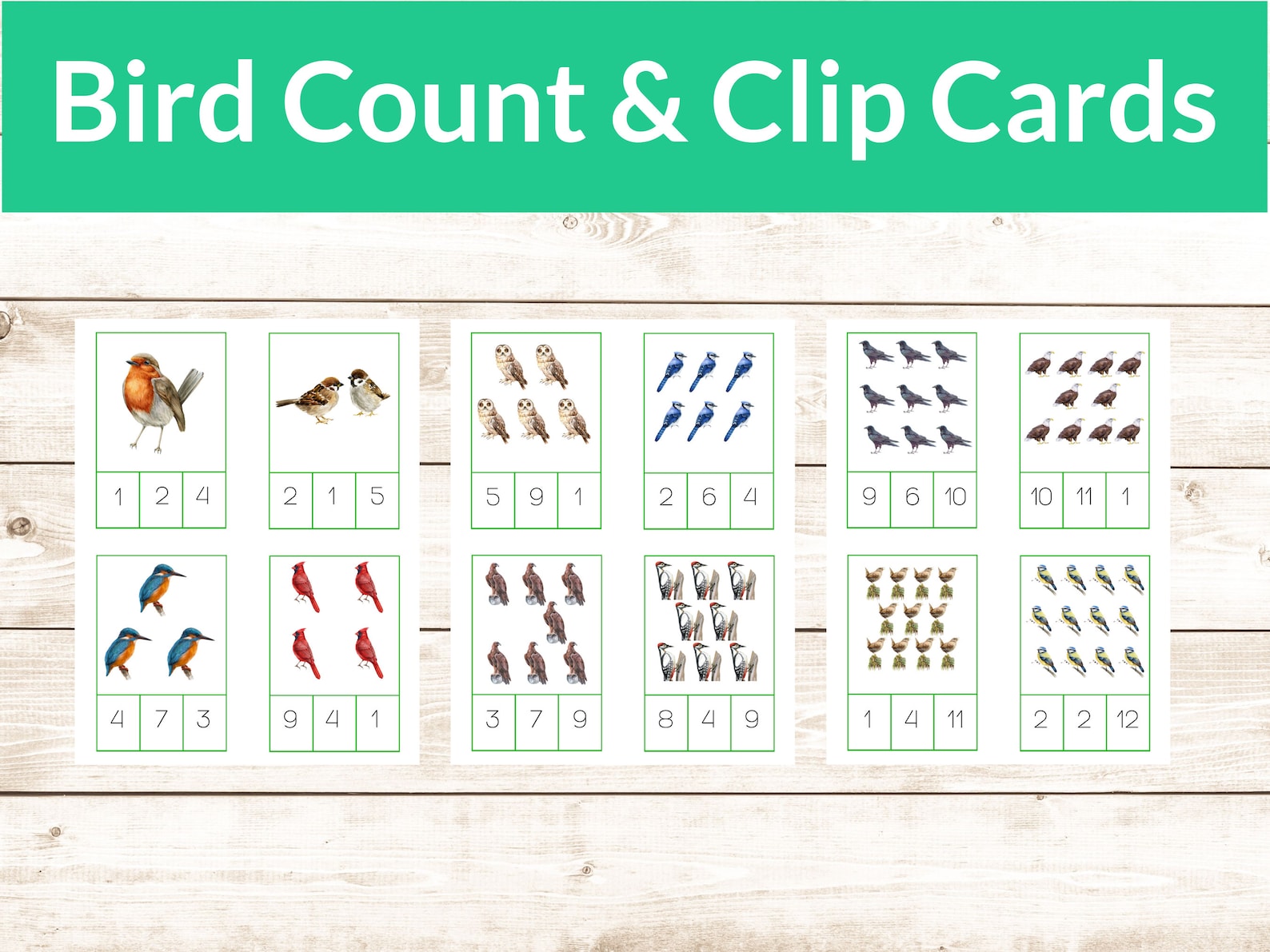 Bird Montessori Count & Clip Cards. Preschool and Kindergarten Math ...