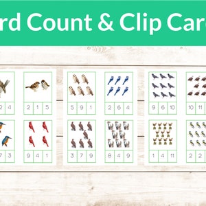 Bird Montessori Count & Clip Cards. Preschool and Kindergarten Math ...