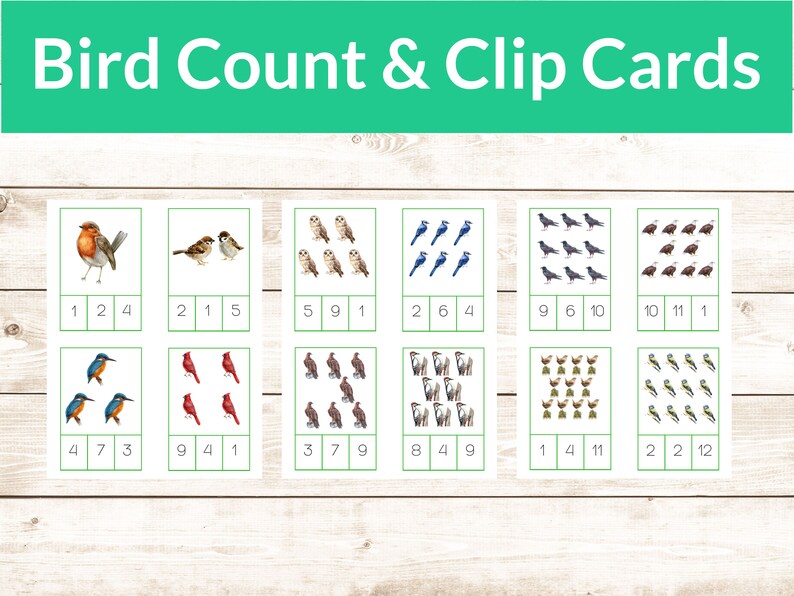 Bird Montessori Count & Clip Cards. Preschool and Kindergarten Math ...