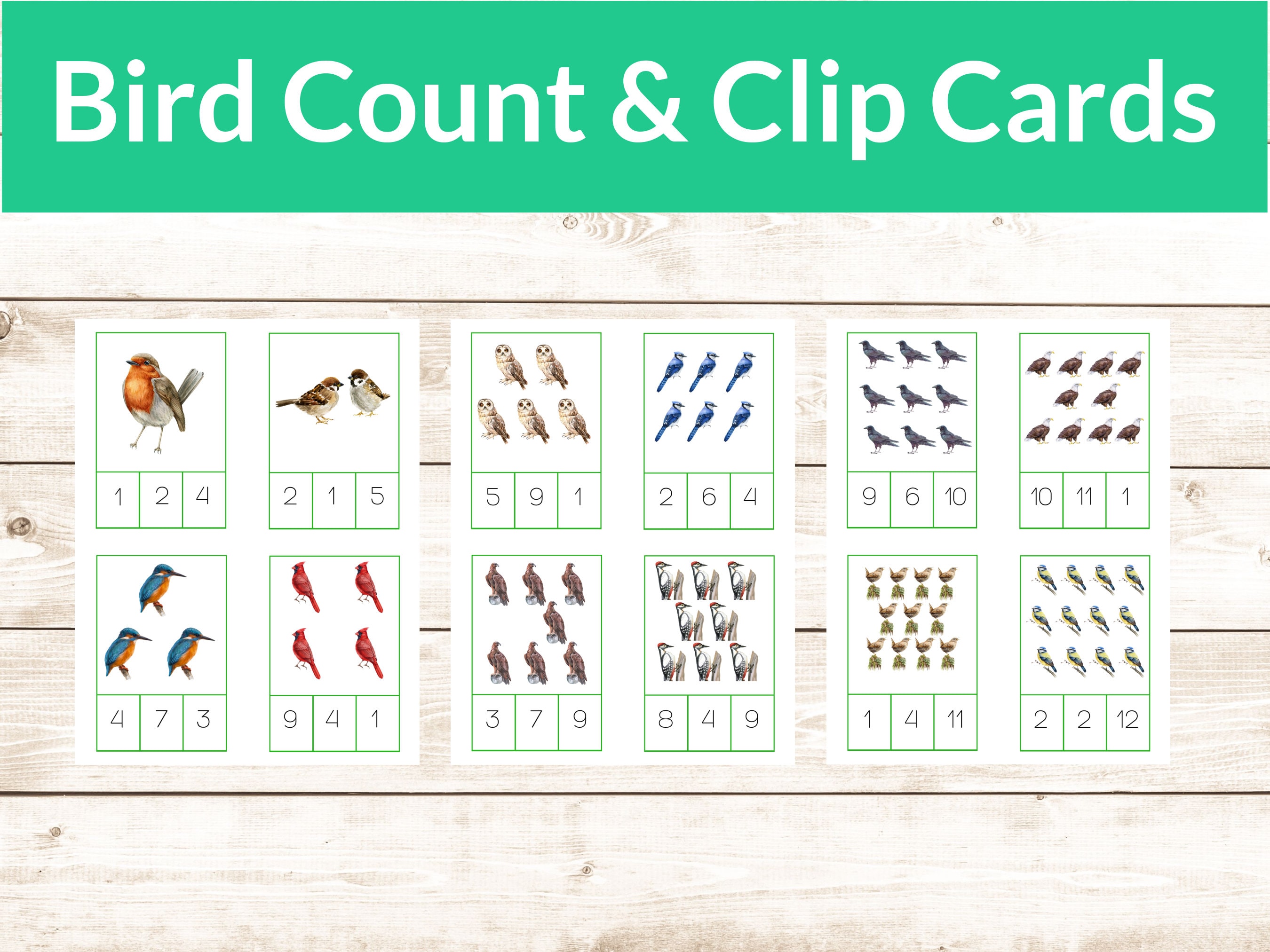Bird Montessori Count & Clip Cards. Preschool and Kindergarten Math ...