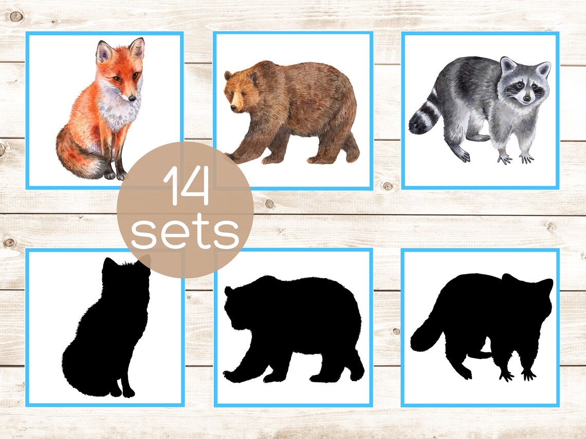 Woodland Animals Shadow Matching Cards. Montessori Toddler Printable ...