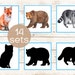 Africa Animals Montessori Shadow Cards Printable. Toddler Shadow ...