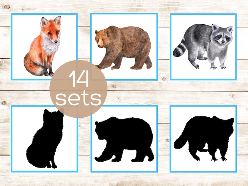 Woodland Animals Shadow Matching Cards. Montessori Toddler Printable ...