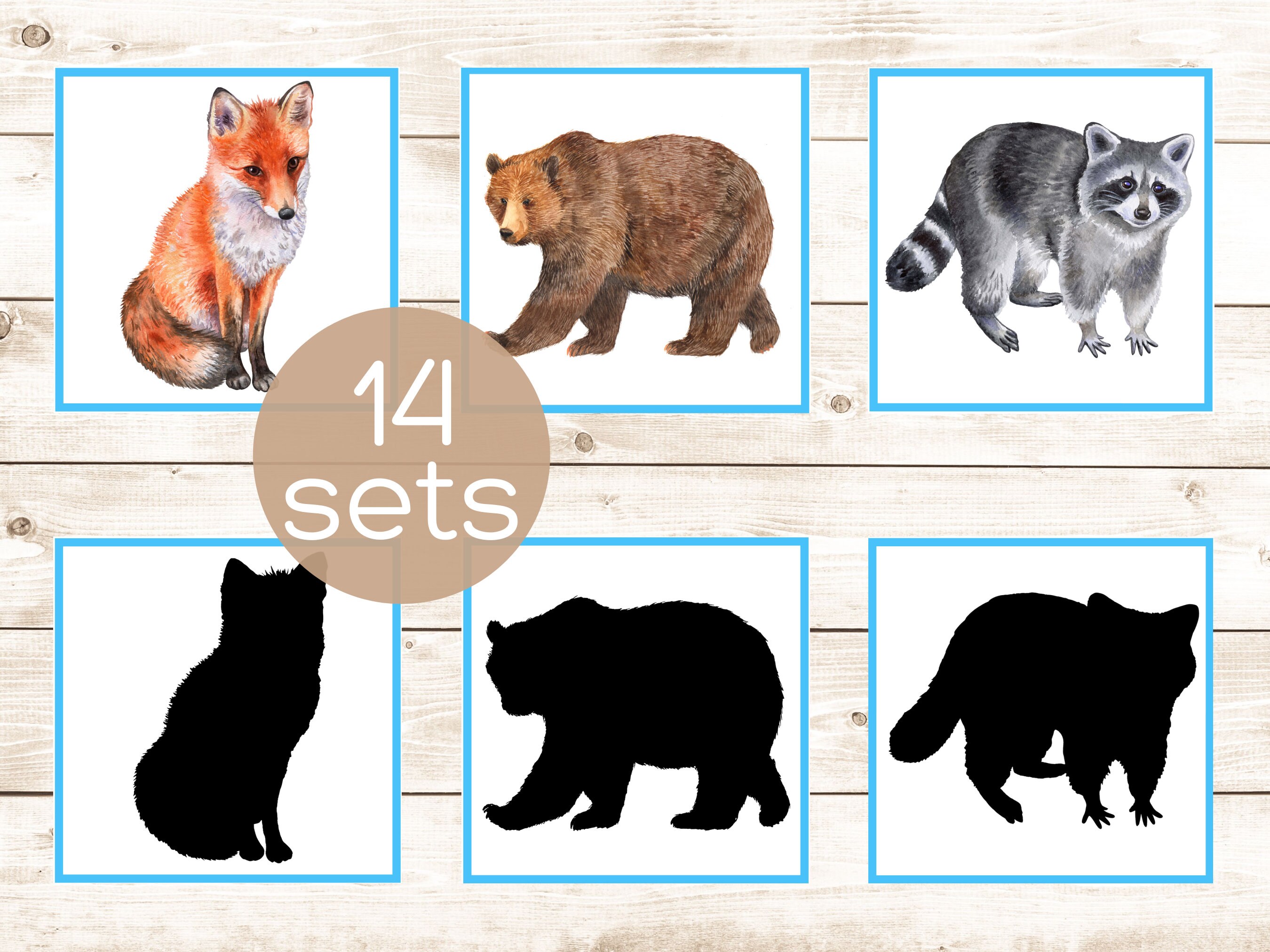 Woodland Animals Shadow Matching Cards. Montessori Toddler Printable ...