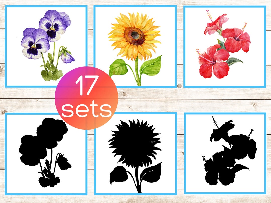 Flowers Shadow Matching Cards. Montessori Toddler Printable. Preschool ...