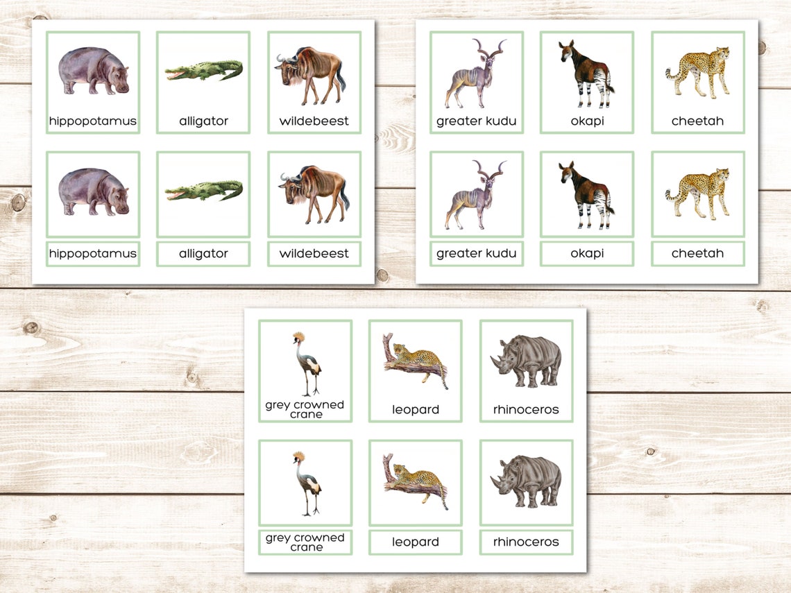 African Animals Montessori Printable Vocabulary 3 Part Cards Flash ...