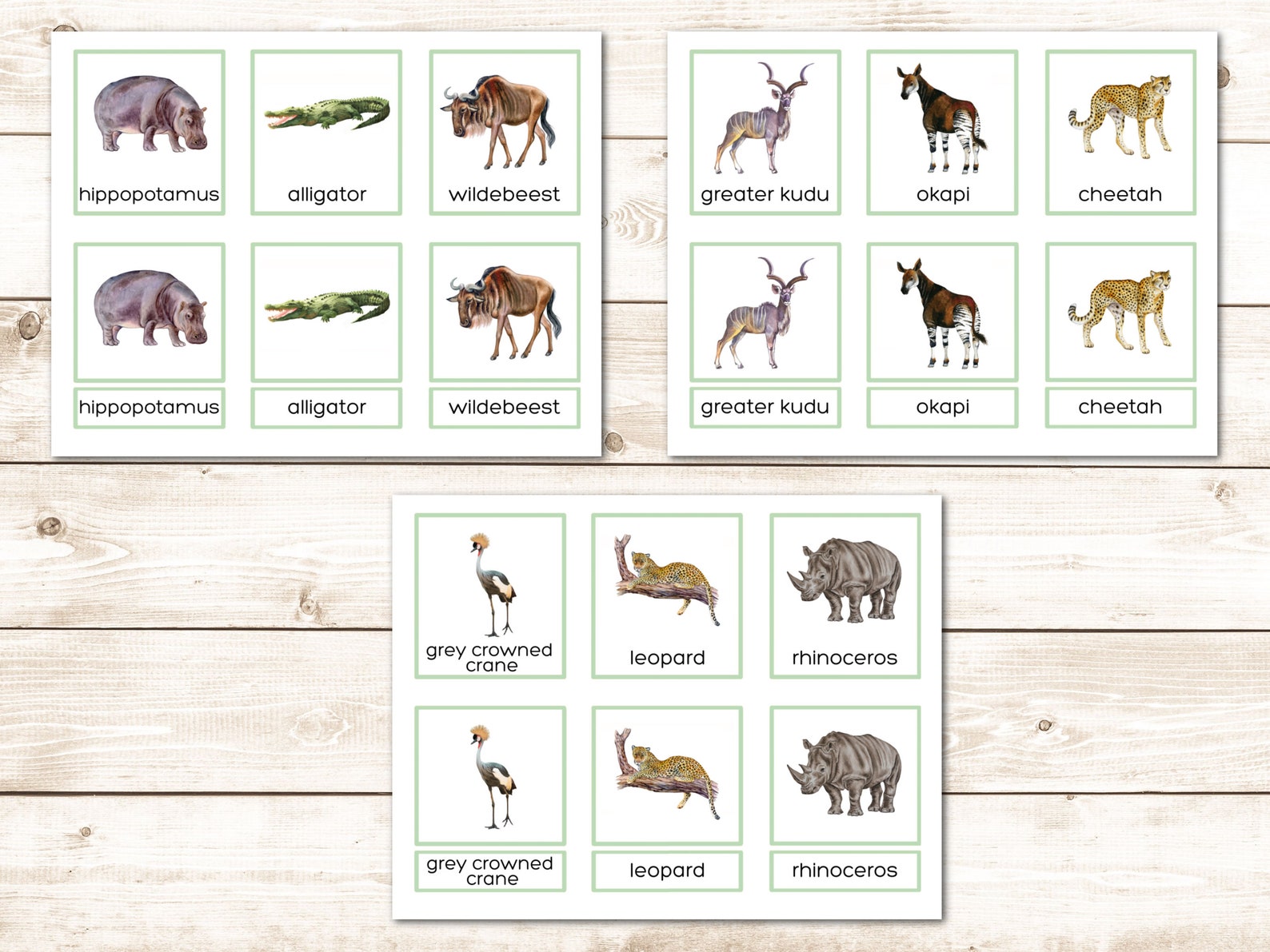 African Animals Montessori Printable Vocabulary 3 Part Cards Flash ...