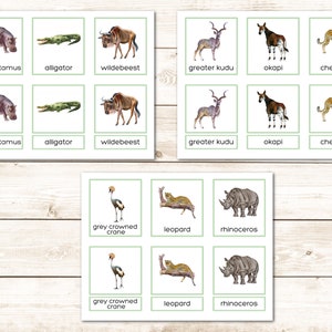 African Animals Montessori Printable Vocabulary 3 Part Cards Flash ...