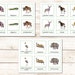 African Animals Montessori Printable Vocabulary 3 Part Cards Flash ...