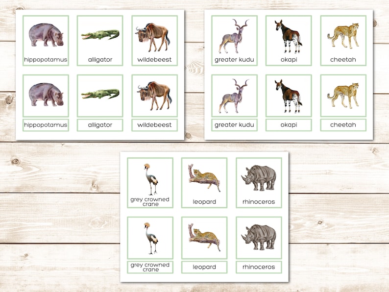 African Animals Montessori Printable Vocabulary 3 Part Cards Flash ...